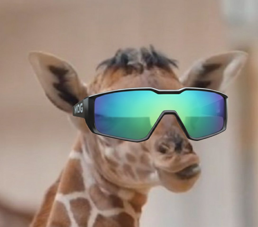 $EUGENE | Baby Giraffe Meme Coin